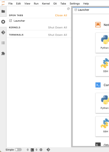 Introduction to the JupyterLab Interface - CyberGISX