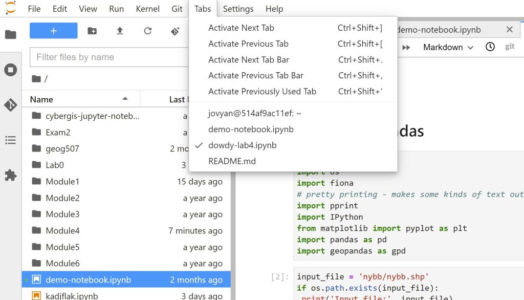 Introduction to the JupyterLab Interface - CyberGISX